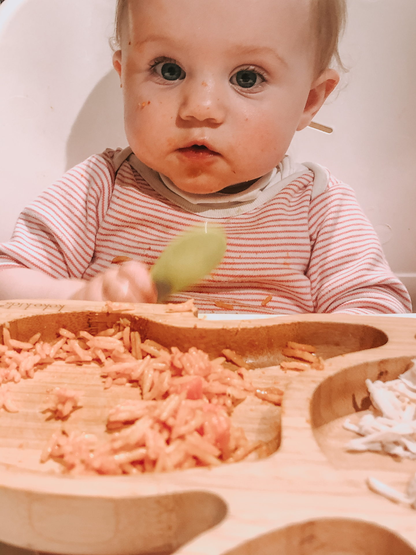 10 Quick Easy Cheap Toddler Meal Ideas The Very Busy Isy 10 Quick Easy Cheap Toddler Meal Ideas The Very Busy Isy